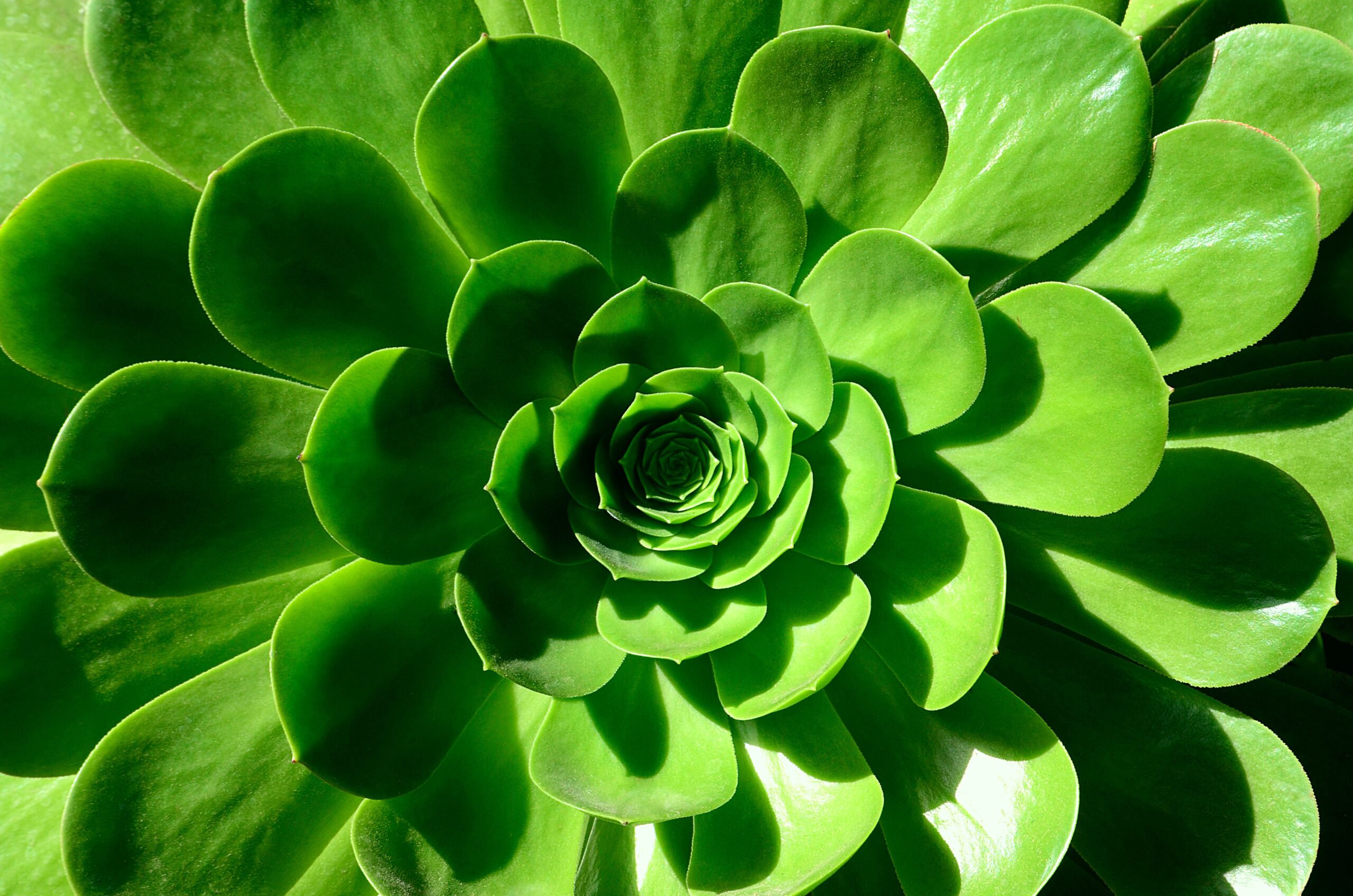 7 Eco-Friendly Upgrades to Increase the Value of Your Home